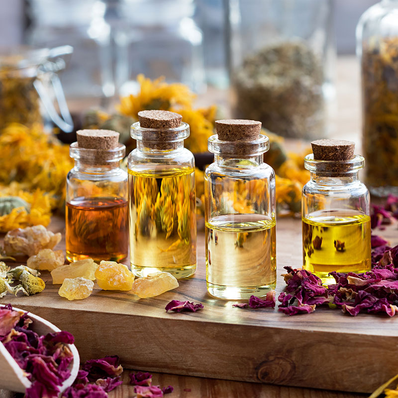 Quantum Nature Care Products | From Nutrition to Pet Support